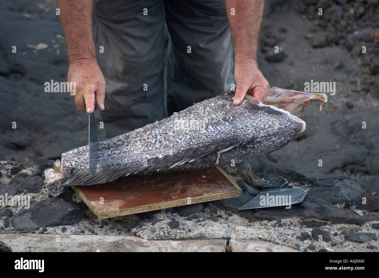 Fisherman cutting large fish into small pieces Stock Photo - Alamy