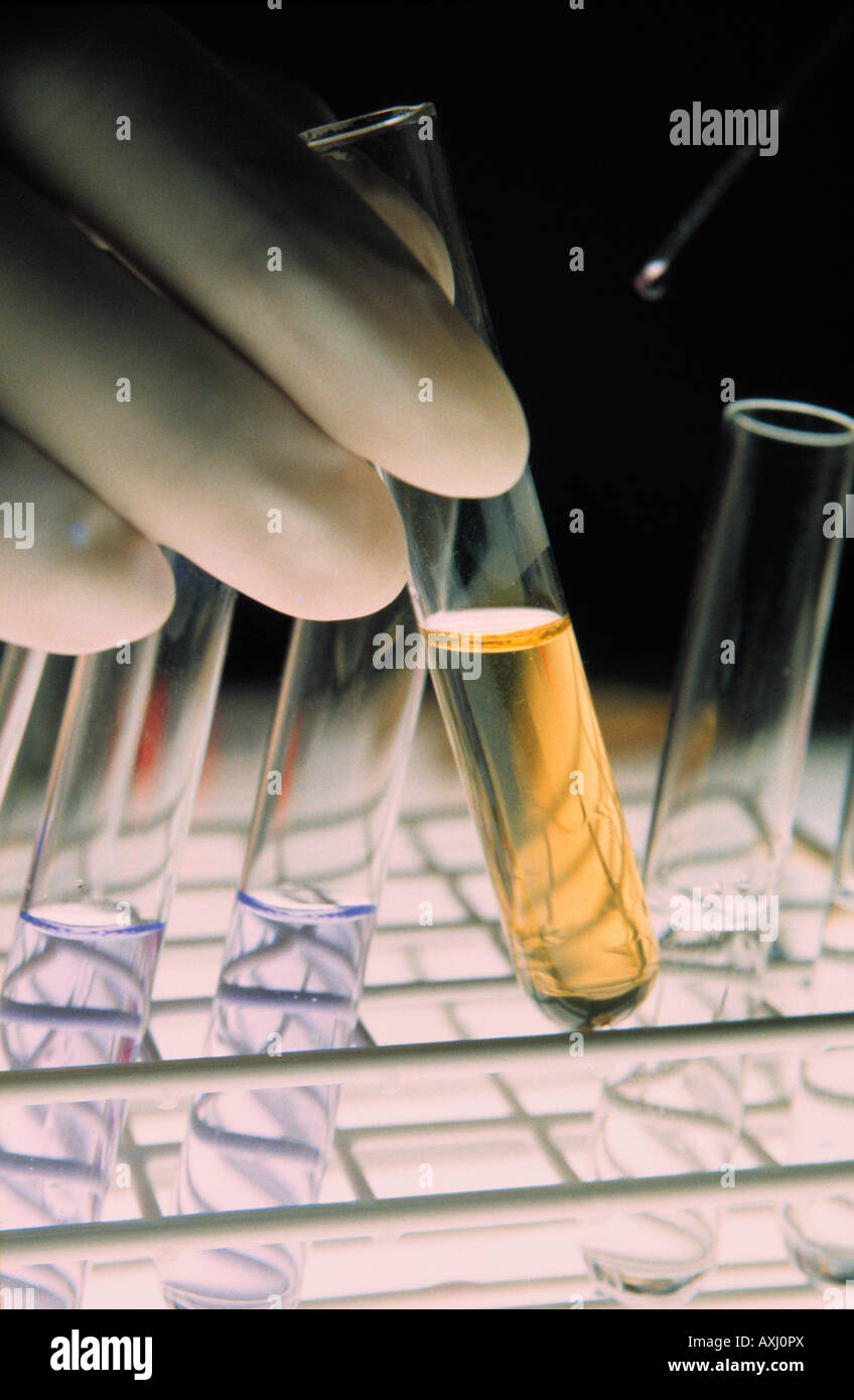Test biochemistry hi-res stock photography and images - Alamy