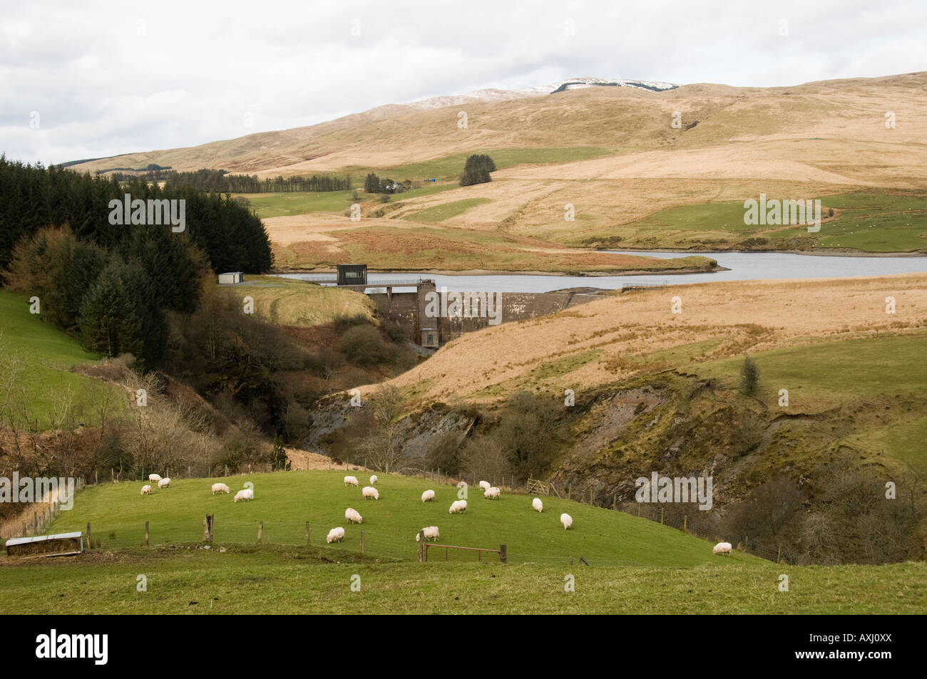 Dinas Reservoir part of EOn Rheidol hydro electric scheme Ponterwyd ...