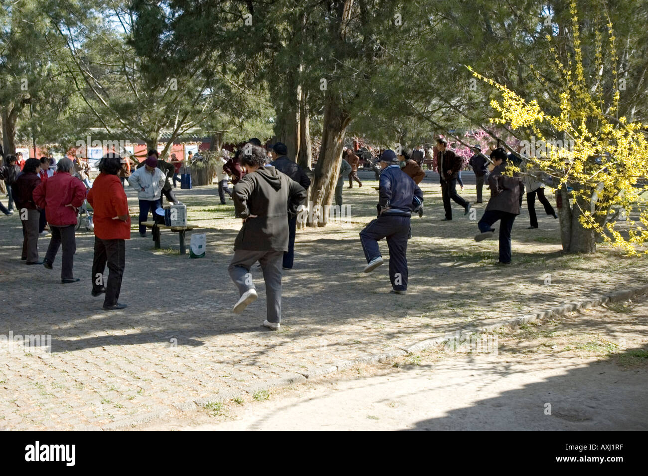 Early morning Tai Chi in the Temple of Heaven Park, Beijing Stock Photo ...