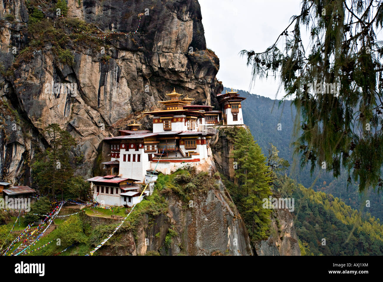 Taktshang (Tiger's Nest) Monastery, Bhutan, Asia Stock Photo - Alamy