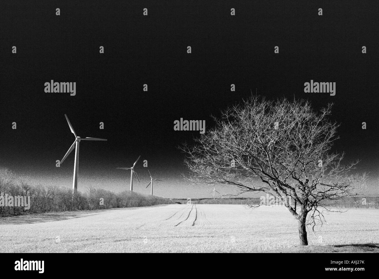 White turbine Black and White Stock Photos & Images - Alamy
