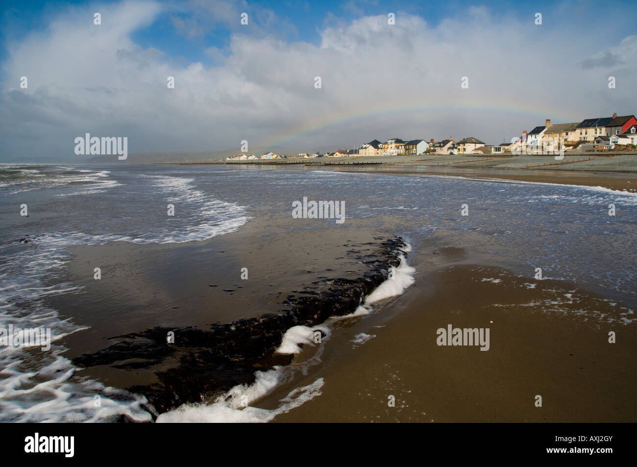 Remains of ancient submerged peat beds exposed by shifting sands at ...