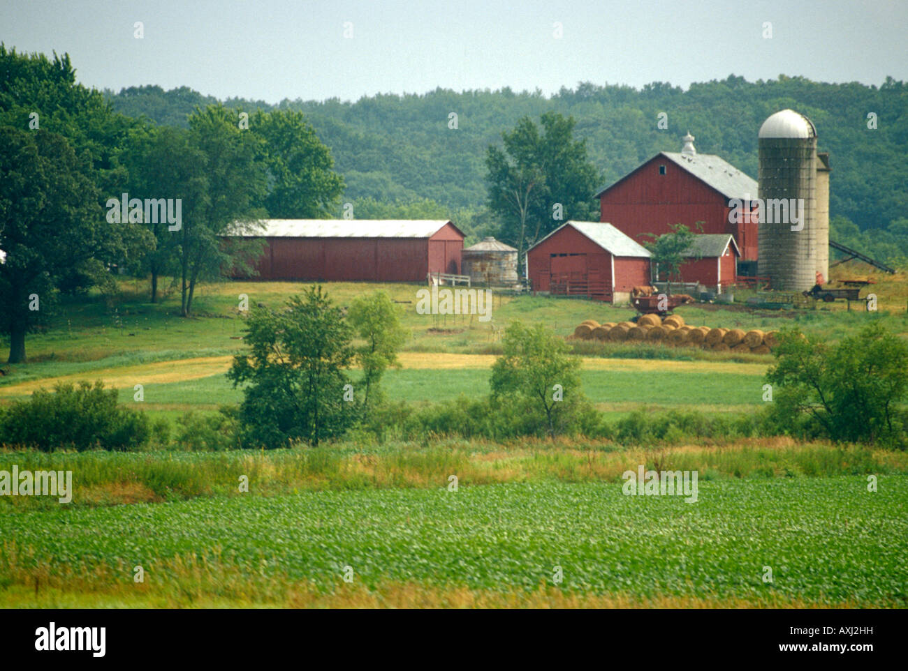 WISCONSIN Walworth County Red barns and silo in valley round bales of ...