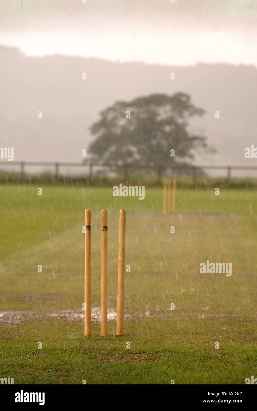 Wet cricket pitch hi-res stock photography and images - Alamy