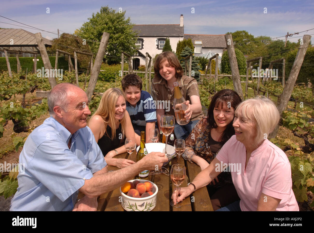 French wine family hi-res stock photography and images - Alamy