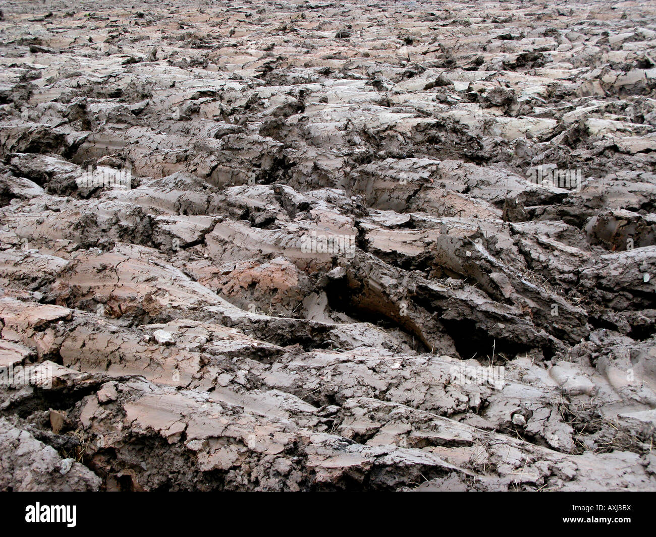 Newly turned or ploughed field Stock Photo - Alamy