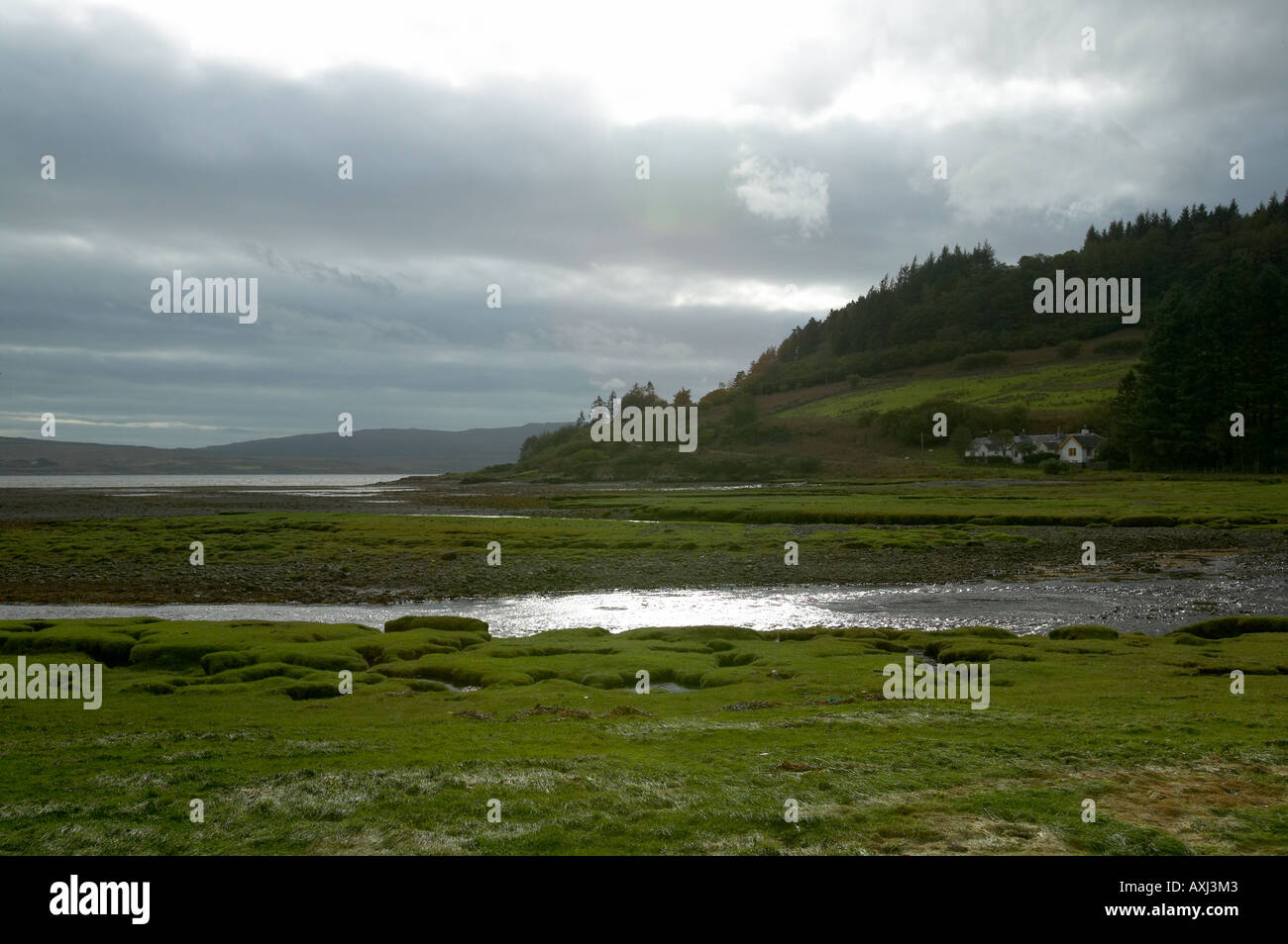 Loch shore on Isle of Mull, West Coast of Scotland, United Kingdom ...