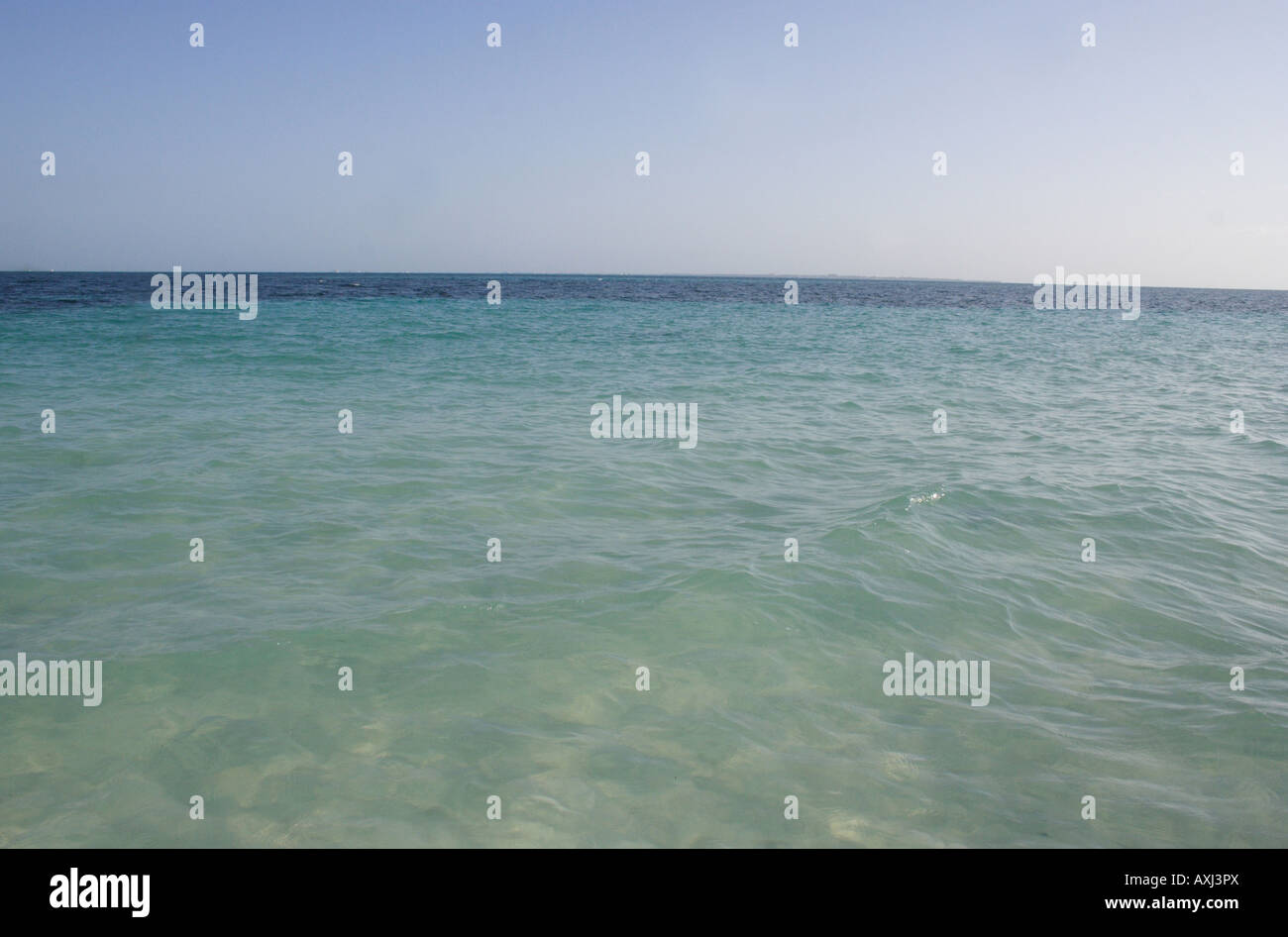 clear ocean water Stock Photo - Alamy