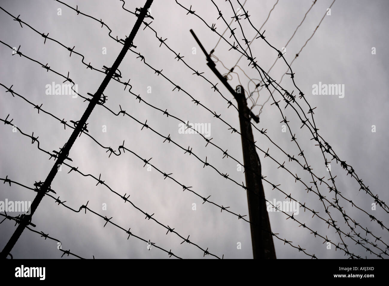 Spiked wire hi-res stock photography and images - Alamy