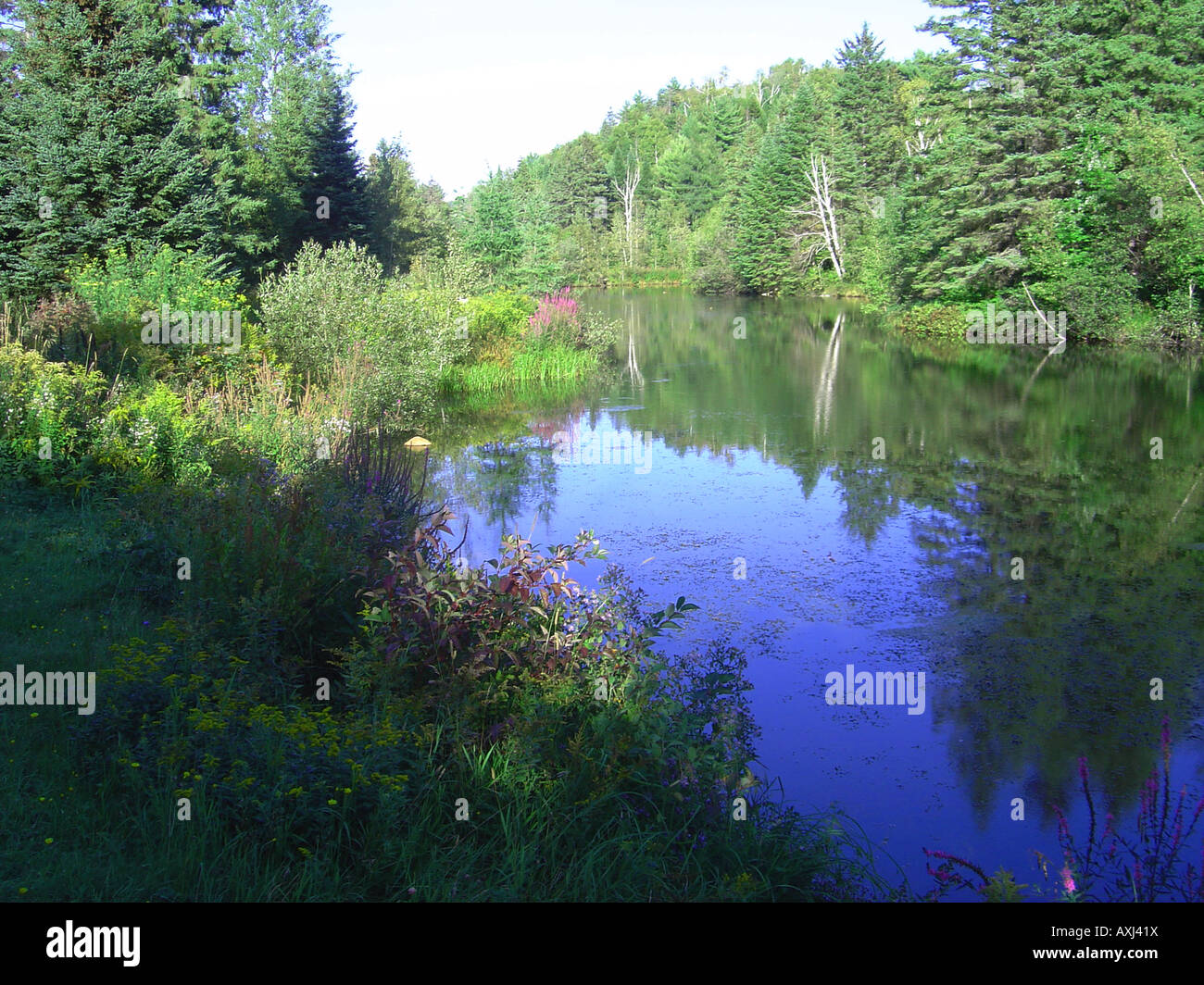 Quiet river winding hi-res stock photography and images - Alamy