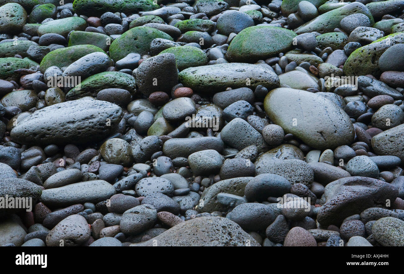 Wet rocks on the beach in Hawaii Stock Photo - Alamy