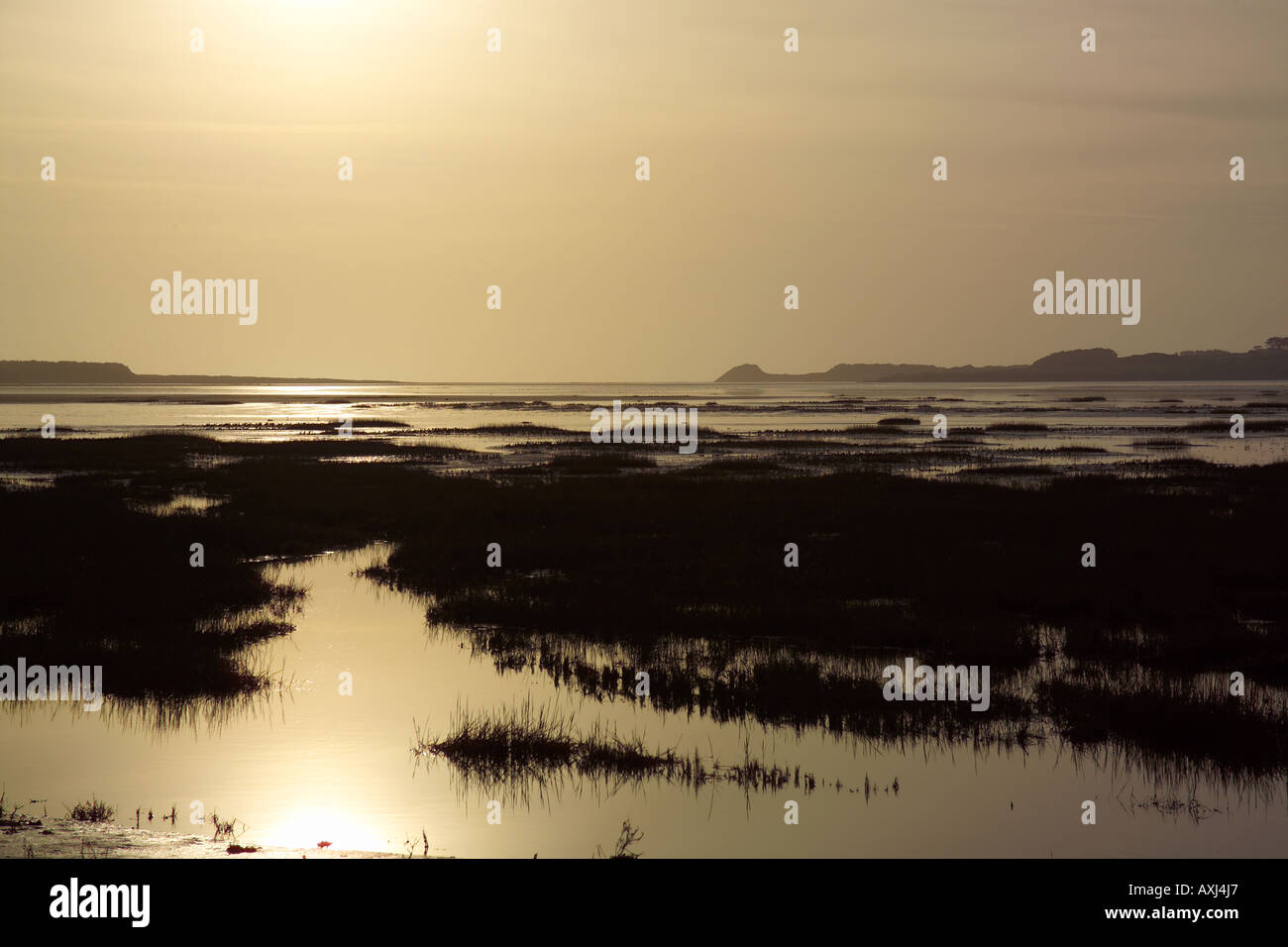 Malltraeth sands hi-res stock photography and images - Alamy