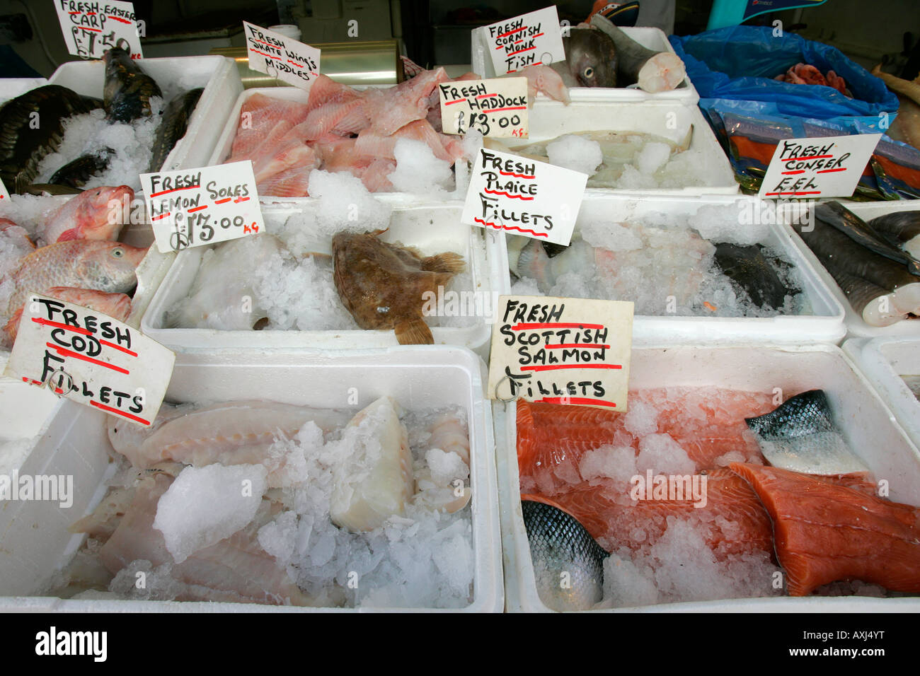 sea ocean food feed feeding cook eat dish menu delicates tasty ...