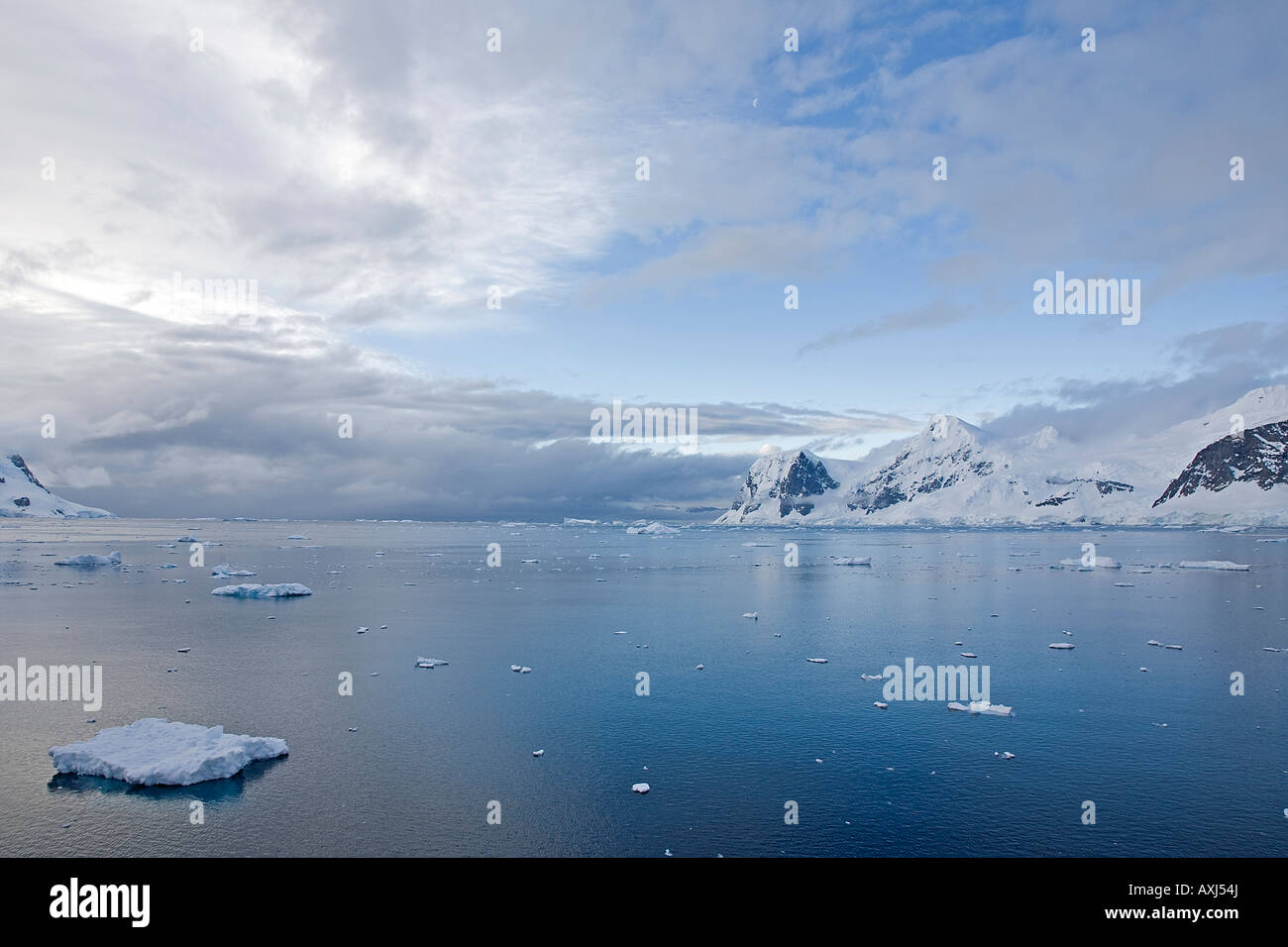 mountains and floating ice in Antarctica Stock Photo - Alamy