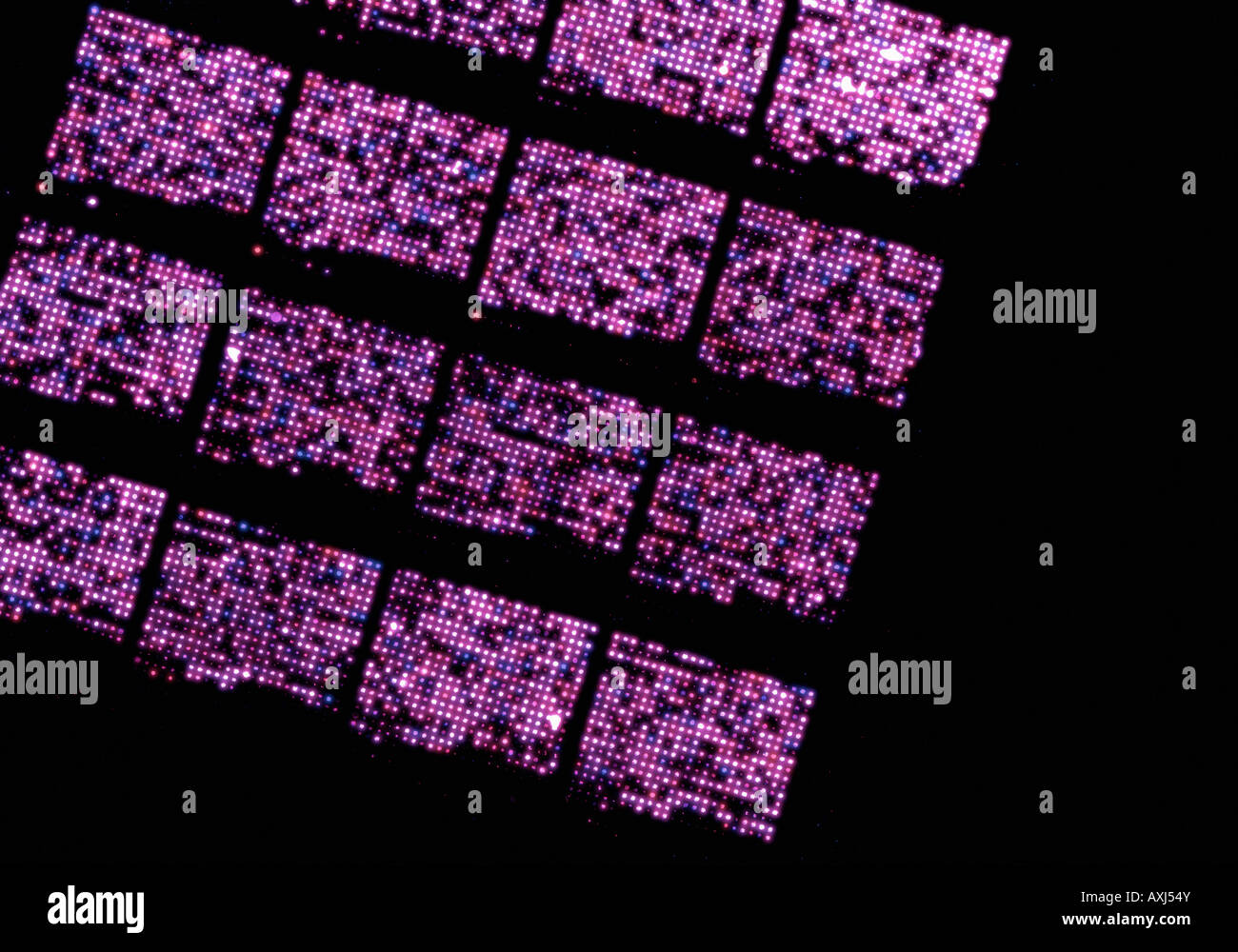 Dna microarray chip High Resolution Stock Photography and Images - Alamy