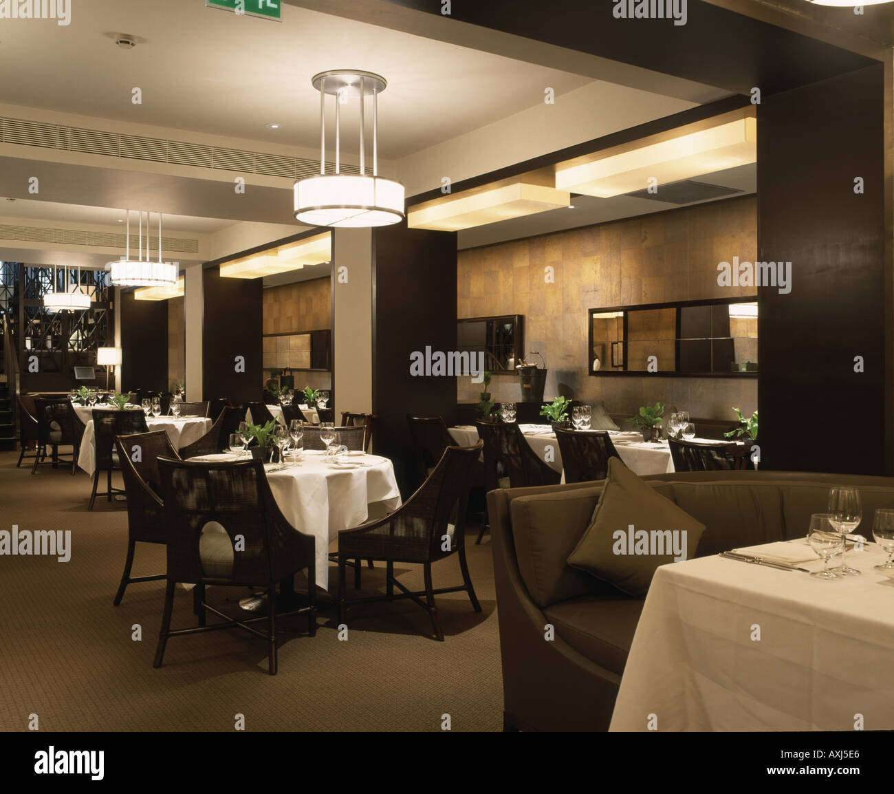 THE BOX WOOD CAFE BERKELEY HOTEL Stock Photo - Alamy