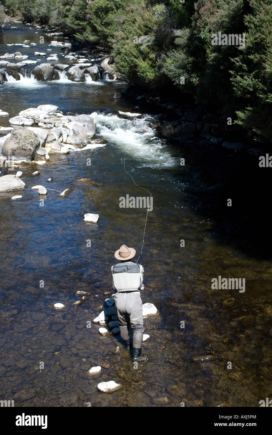 Man fly fishing for trout on the Tyenna River near Mount Field Tasmania ...