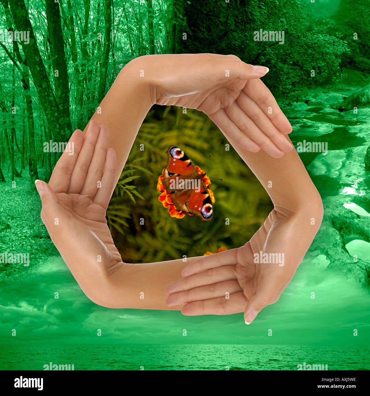 Conceptual recycling symbol Ecology and nature environmental concept ...