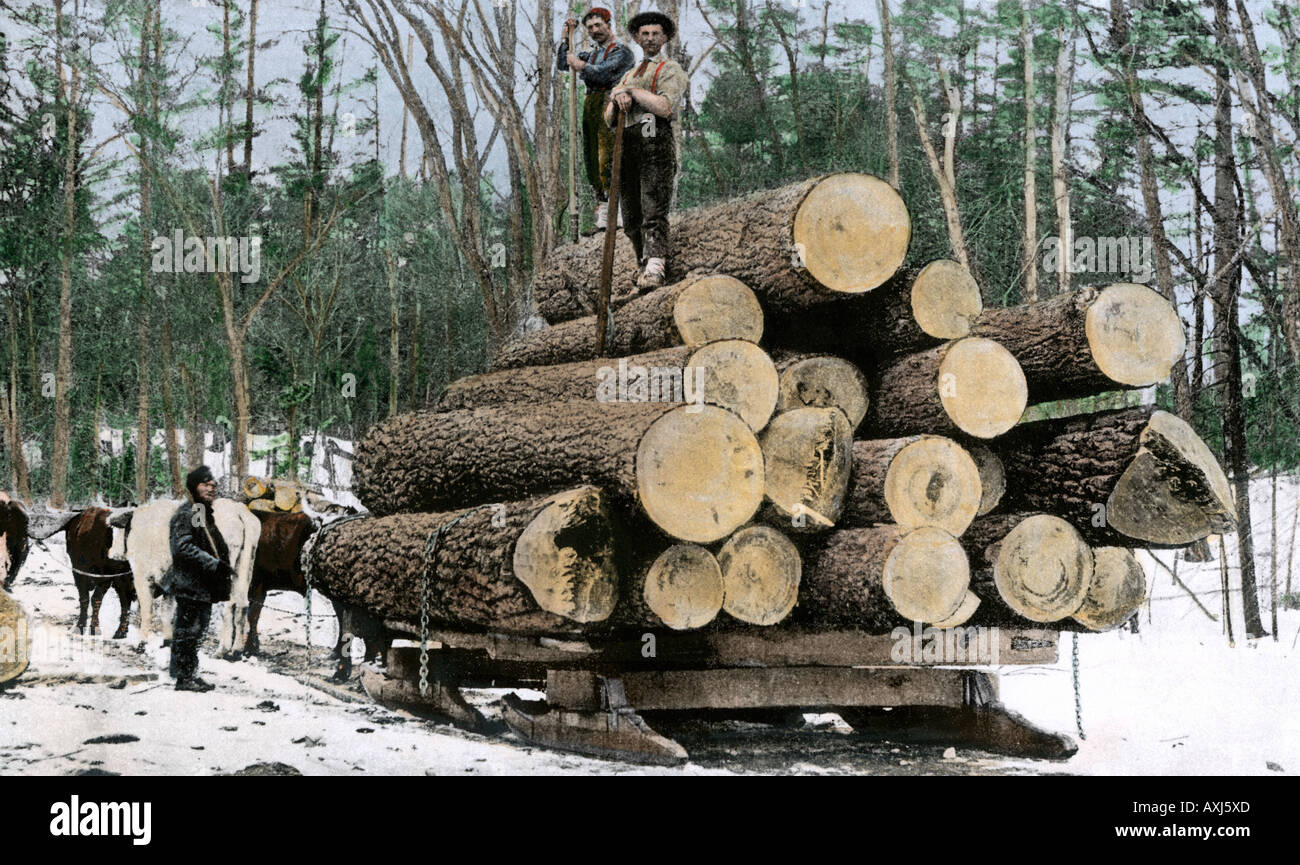 19th Century Logging High Resolution Stock Photography and Images - Alamy