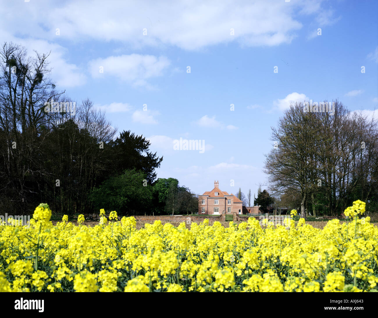 Shortgrove hi-res stock photography and images - Alamy