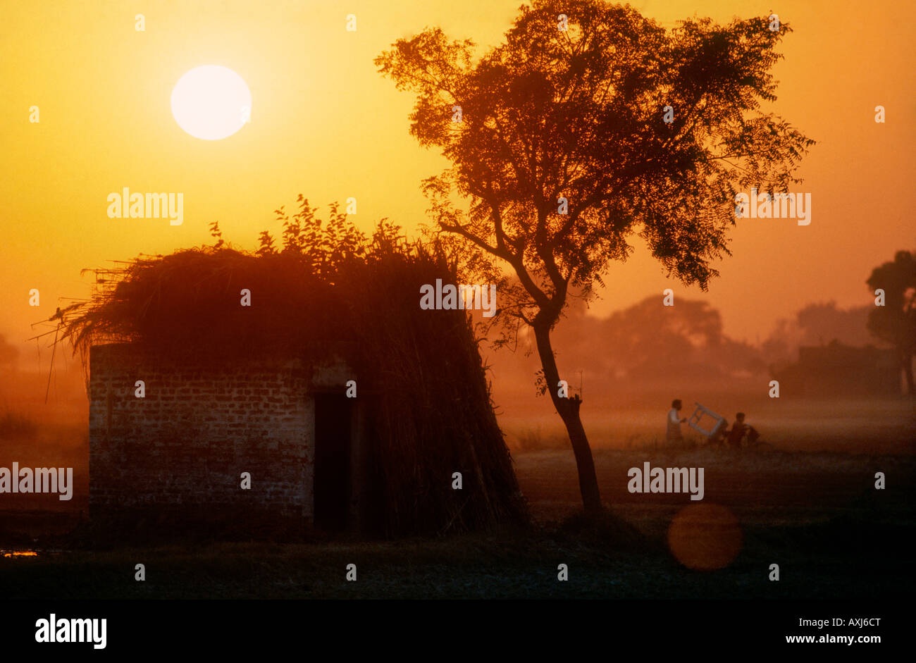 Kirsty mclaren Stock Photos & Images from Alamy