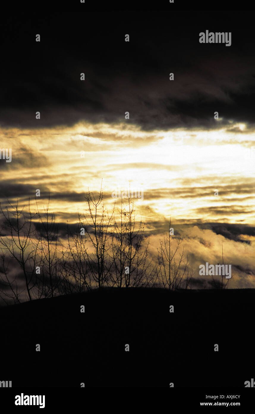 Canada winter sunset hi-res stock photography and images - Alamy