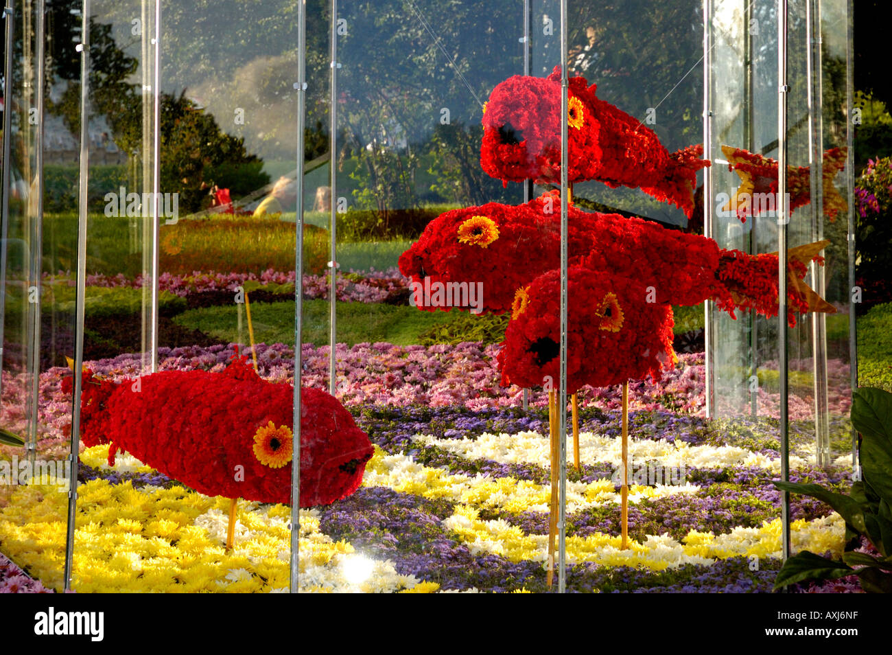 Very artistic hi-res stock photography and images - Alamy