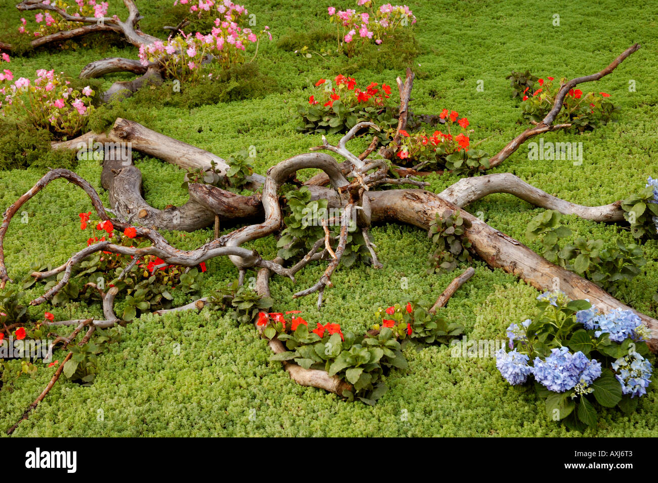 Creative landscape gardening Stock Photo - Alamy