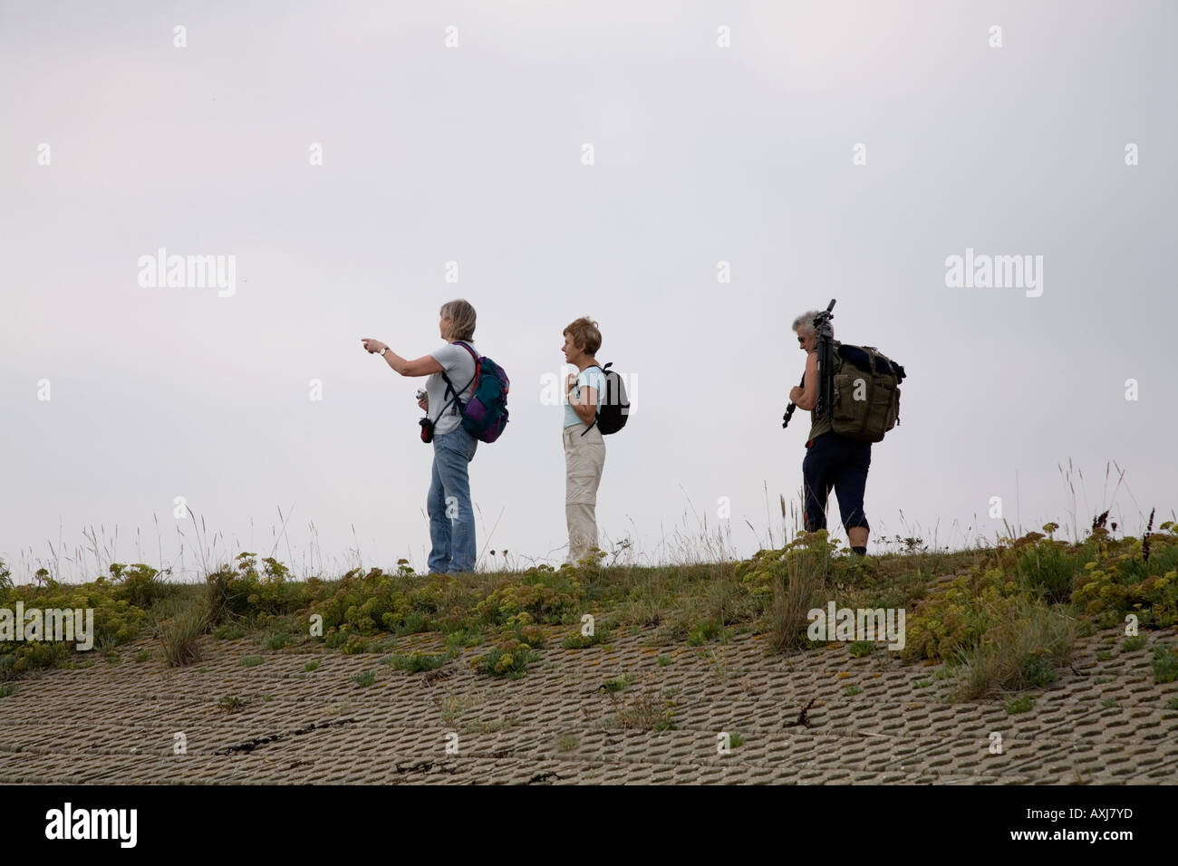 Female bird watcher uk hi-res stock photography and images - Alamy