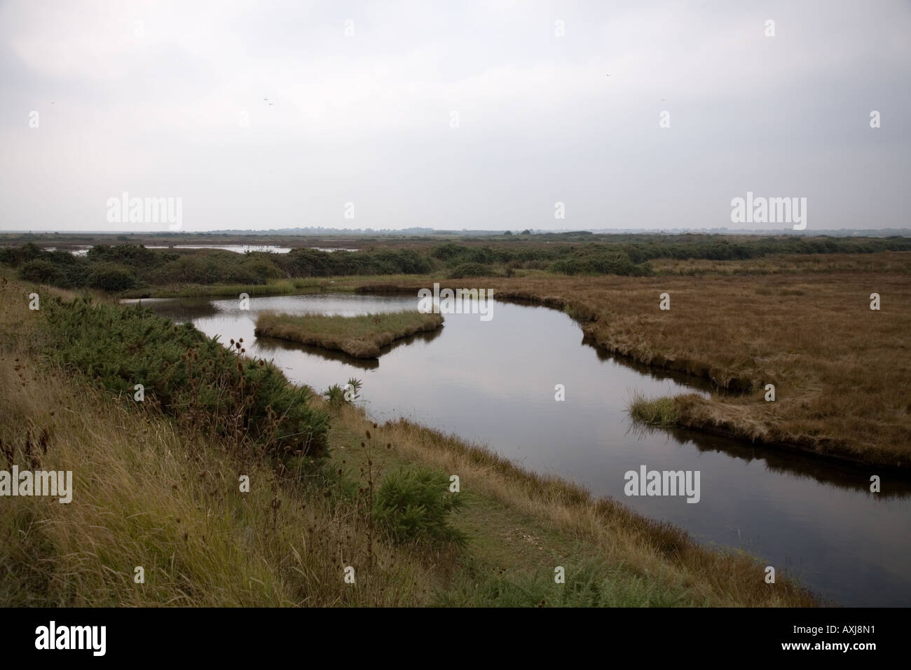 Pennington marshes hi-res stock photography and images - Alamy