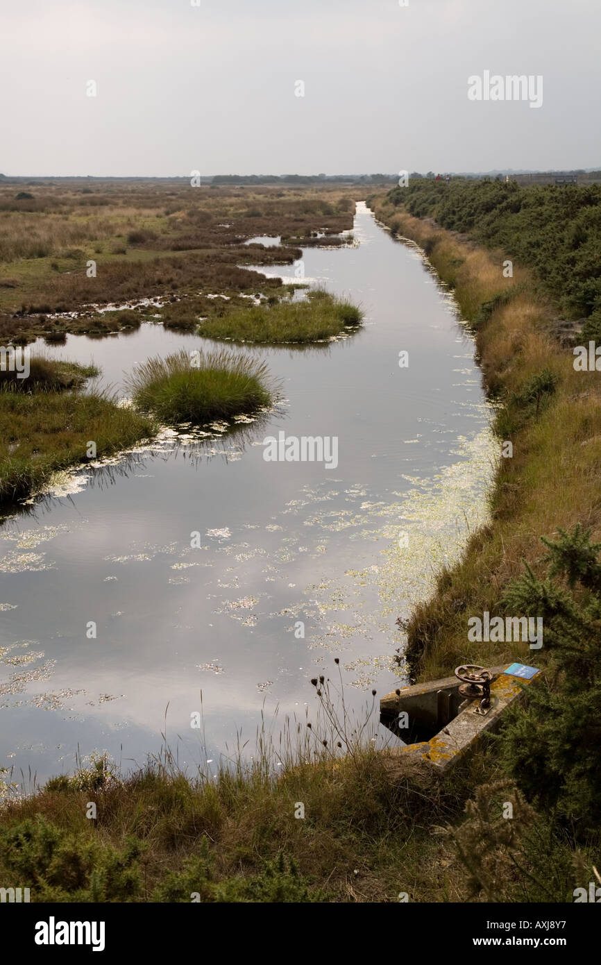 Pennington marshes hi-res stock photography and images - Alamy