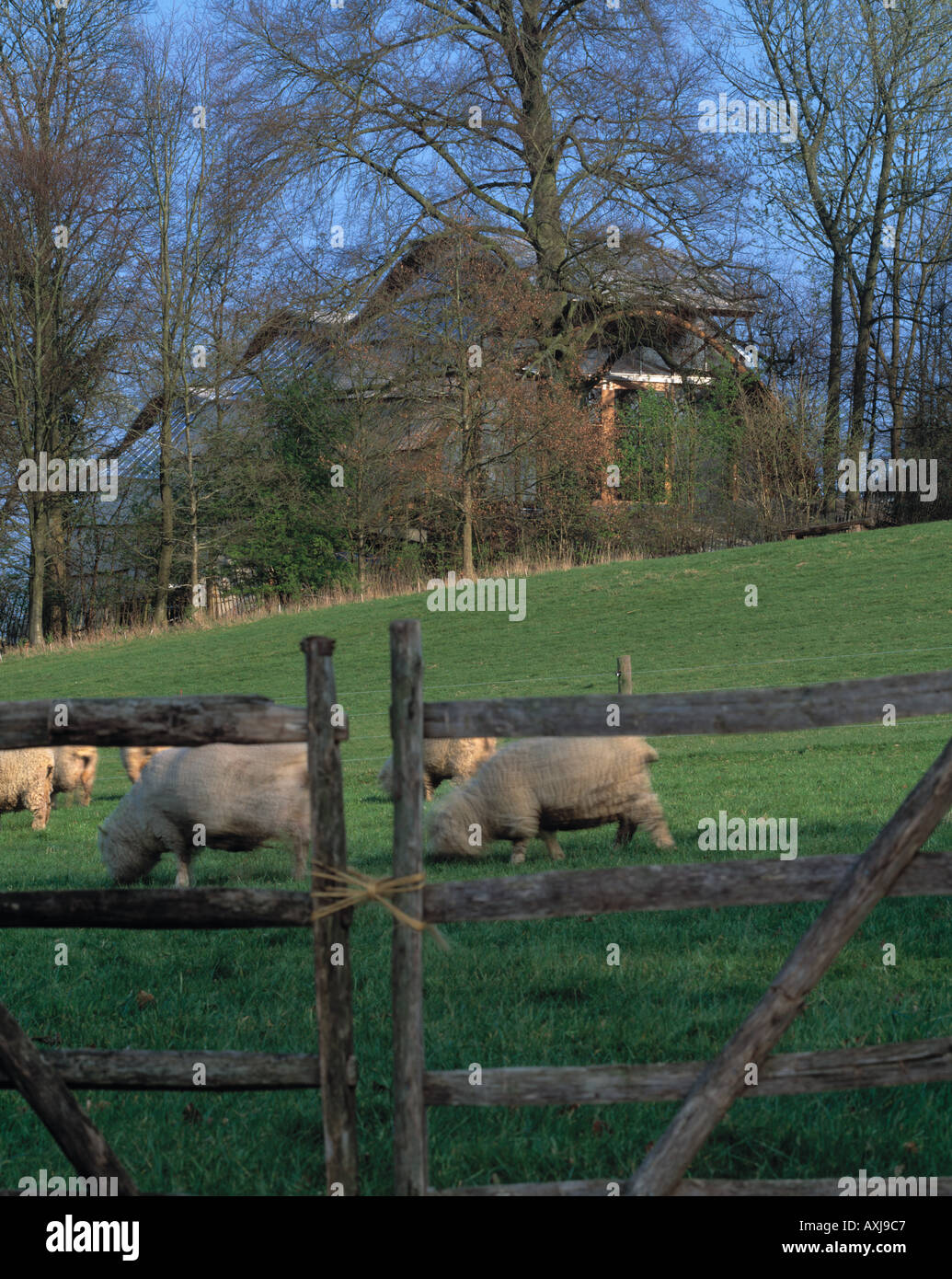 THE DOWNLAND GRIDSHELL WEALD AND DOWNLAND OPEN AIR MUSEUM Stock Photo ...