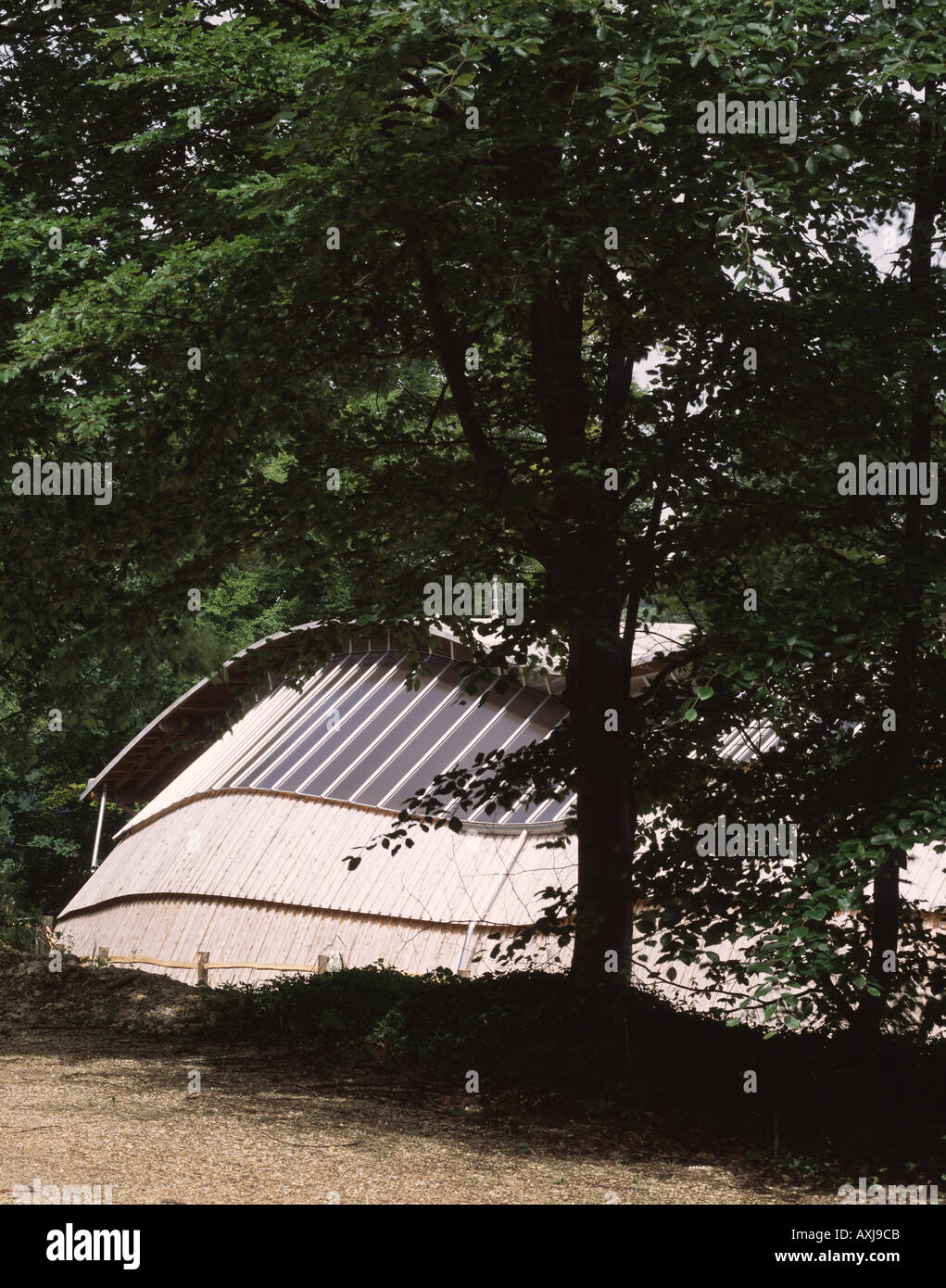 THE DOWNLAND GRIDSHELL WEALD AND DOWNLAND OPEN AIR MUSEUM Stock Photo ...