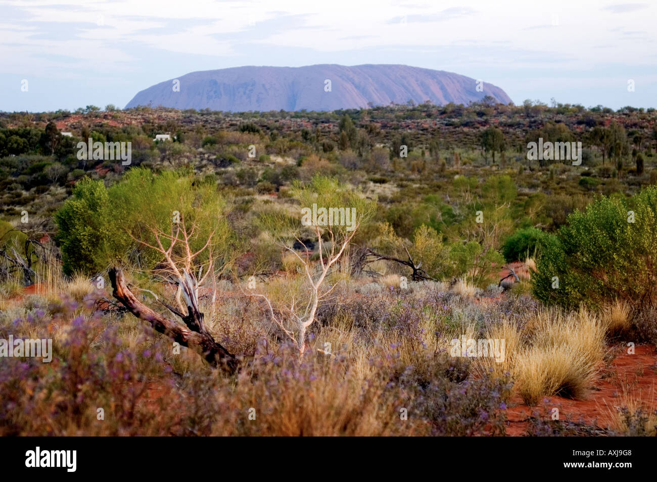 Ayers rock resort hi-res stock photography and images - Alamy