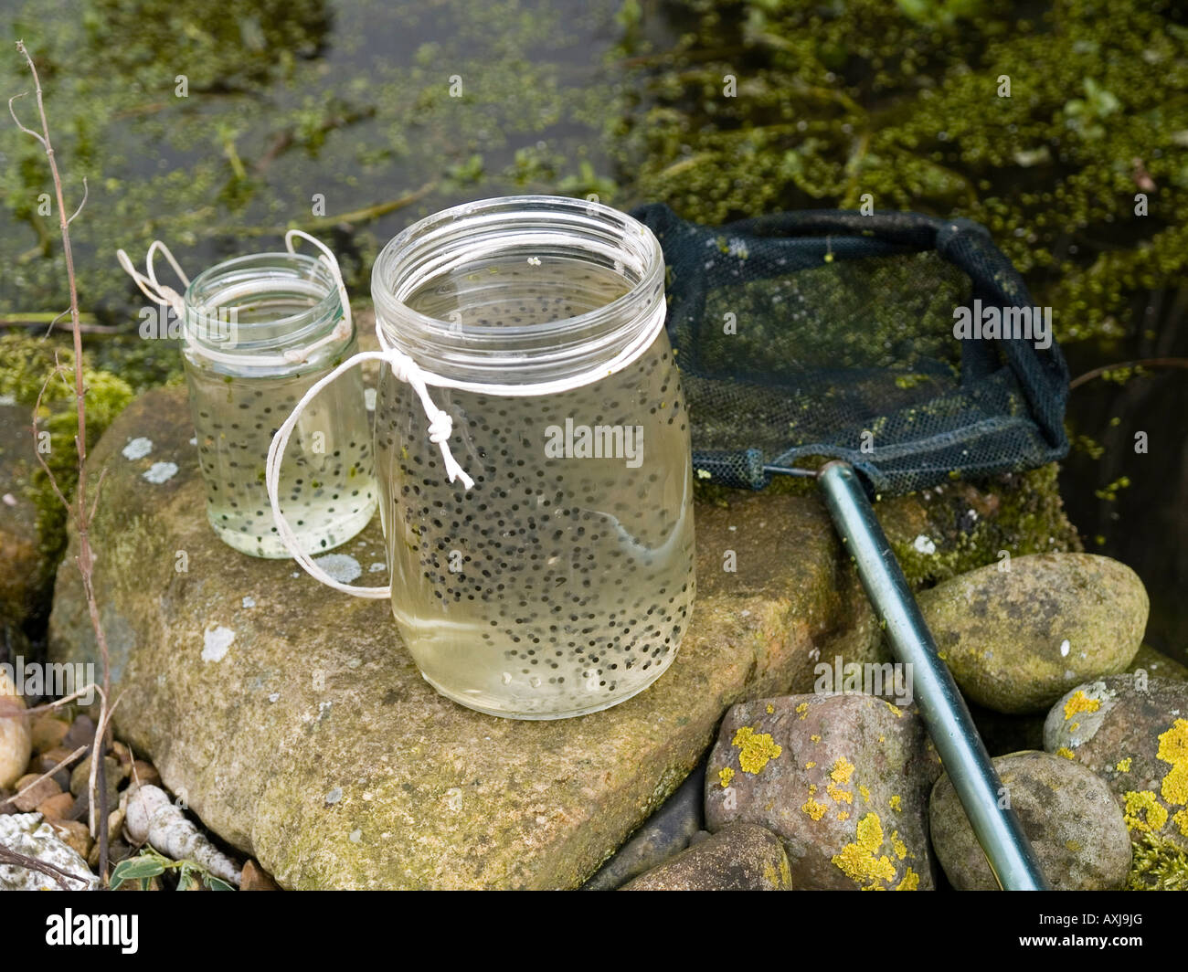 Jars british english pjphoto59 hi-res stock photography and images - Alamy