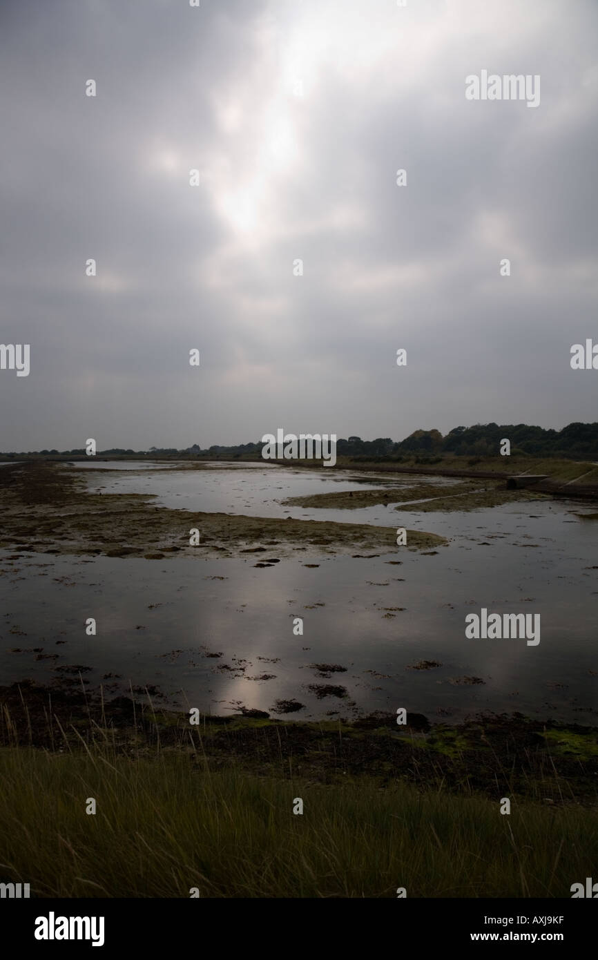 Pennington marshes hi-res stock photography and images - Alamy