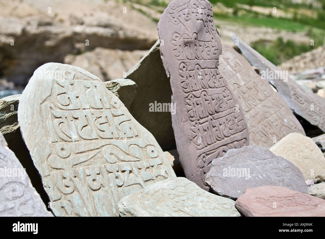 Buddhist inscriptions on the Mani wall at the Markha valley trail in ...