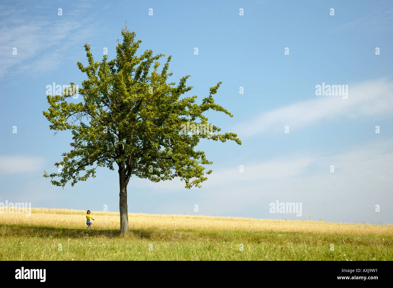 Child under tree hi-res stock photography and images - Alamy