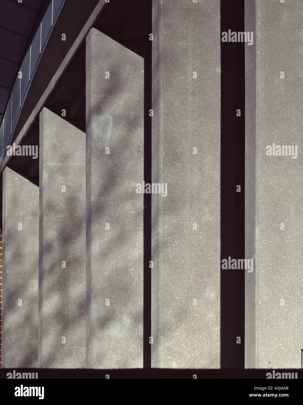 BEDFORD SCHOOL LIBRARY Stock Photo - Alamy