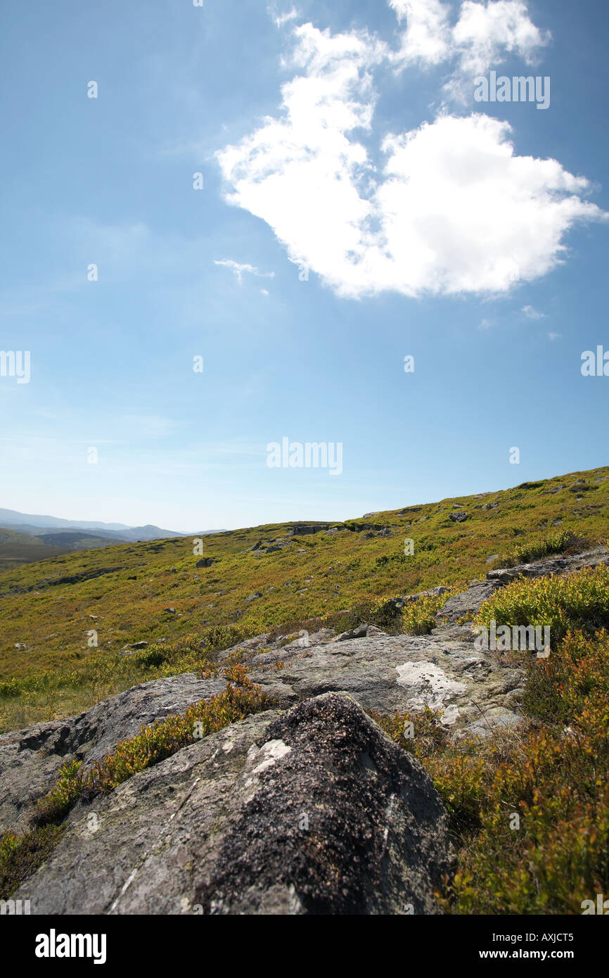 Arenig mountains hi-res stock photography and images - Alamy