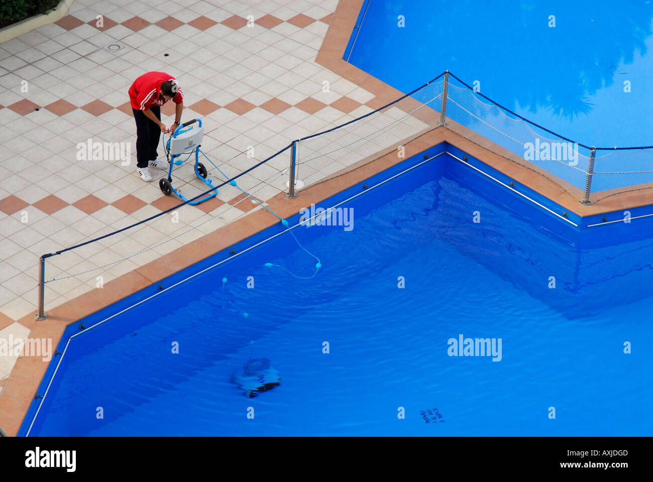 Man Cleaning the hotel swimming pool Stock Photo - Alamy
