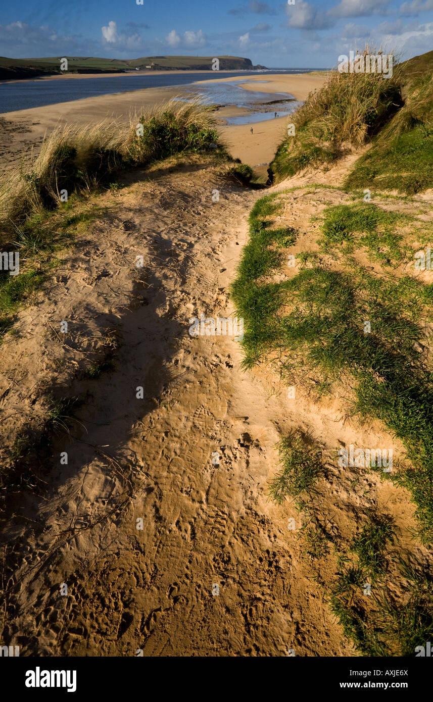 Coastal dunes a hi-res stock photography and images - Alamy