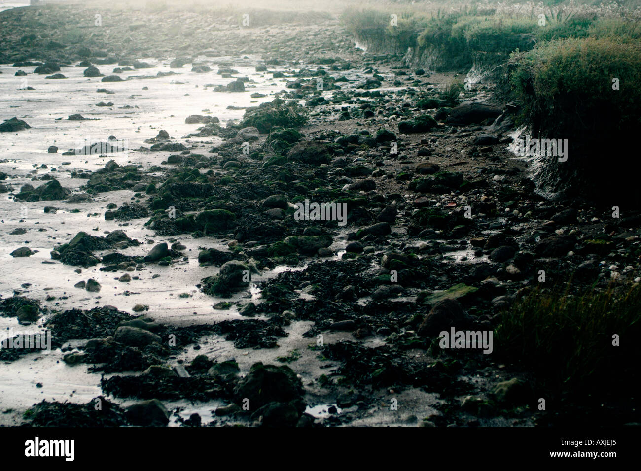 Debri lies along a beach-line as the tide erodes the land Stock Photo ...