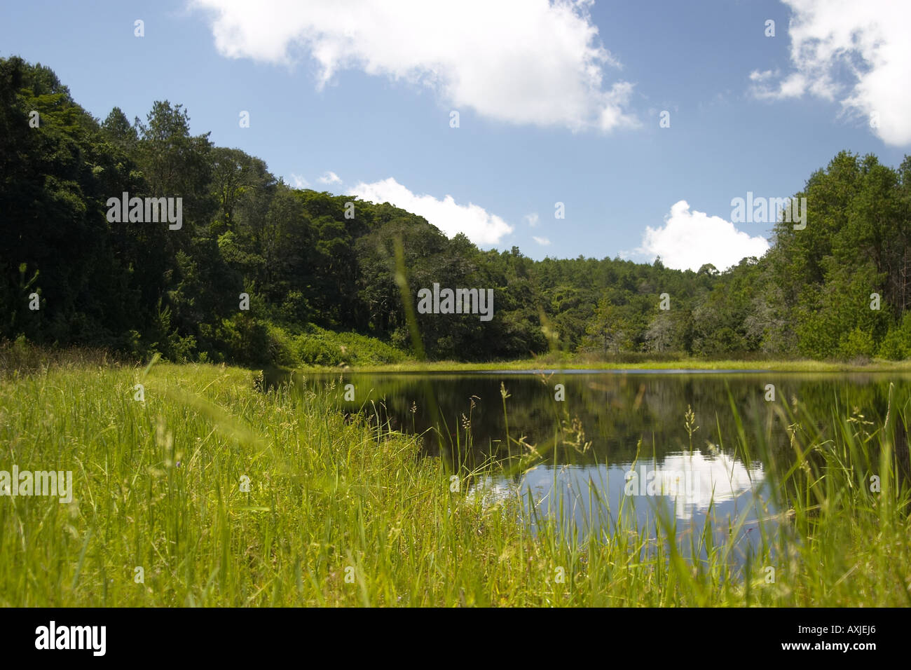 Zomba mountain hi-res stock photography and images - Alamy