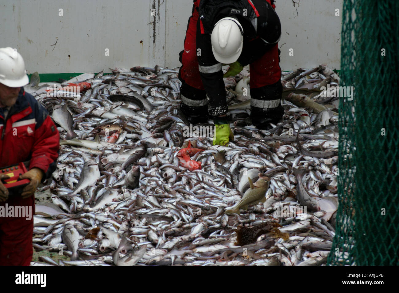 Scientific trawl hi-res stock photography and images - Alamy