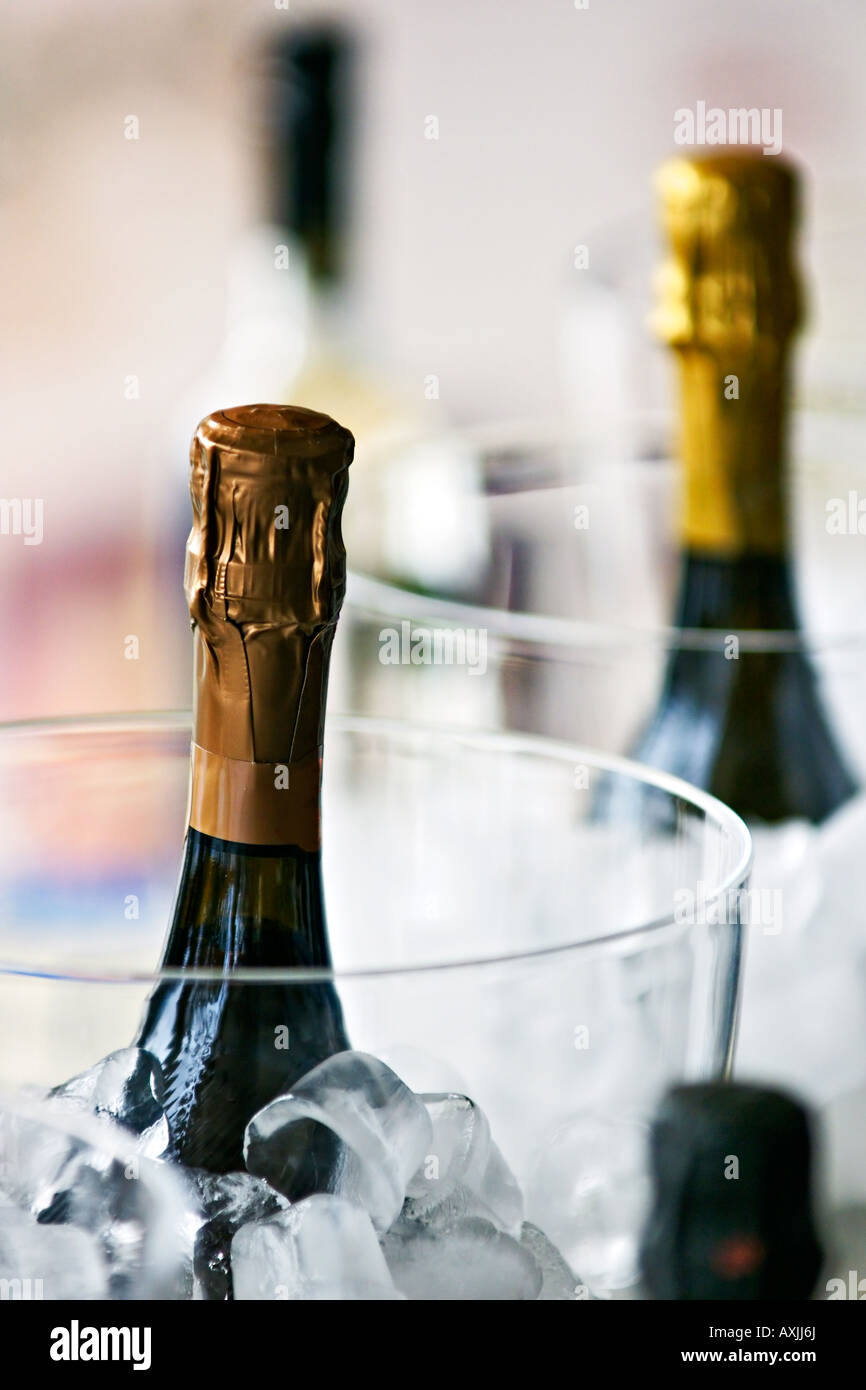 Bottle of Champagne with ice Stock Photo - Alamy