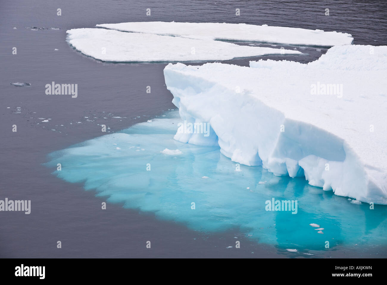 Antarctic ecosystem exploration hi-res stock photography and images - Alamy