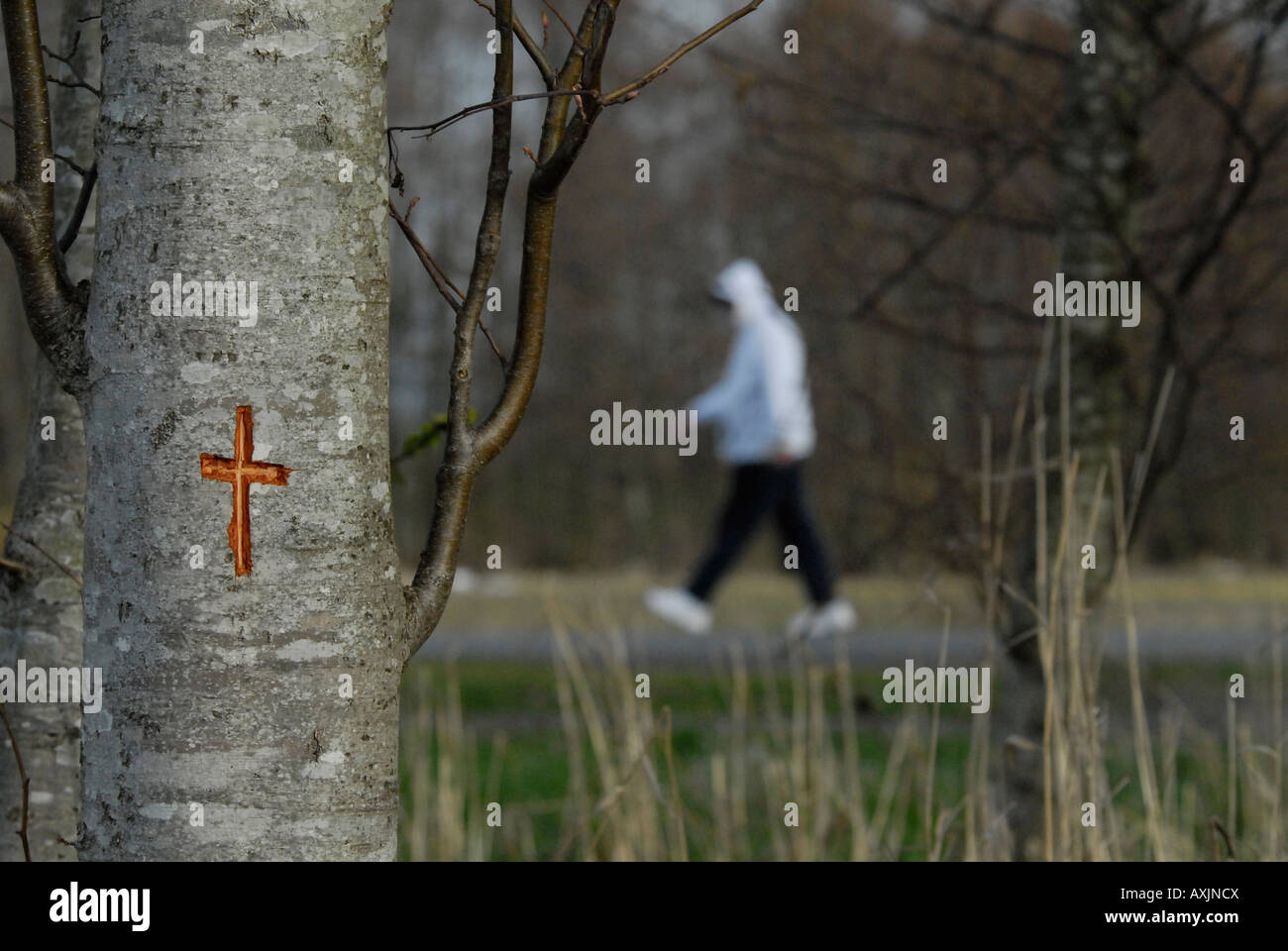 Truth cross hi-res stock photography and images - Alamy