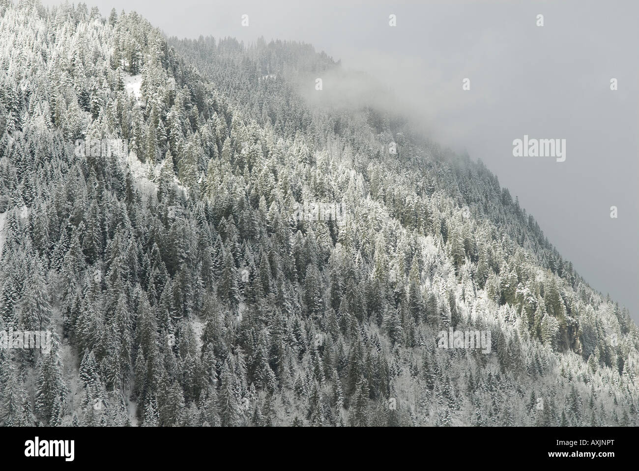 France storm hi-res stock photography and images - Alamy